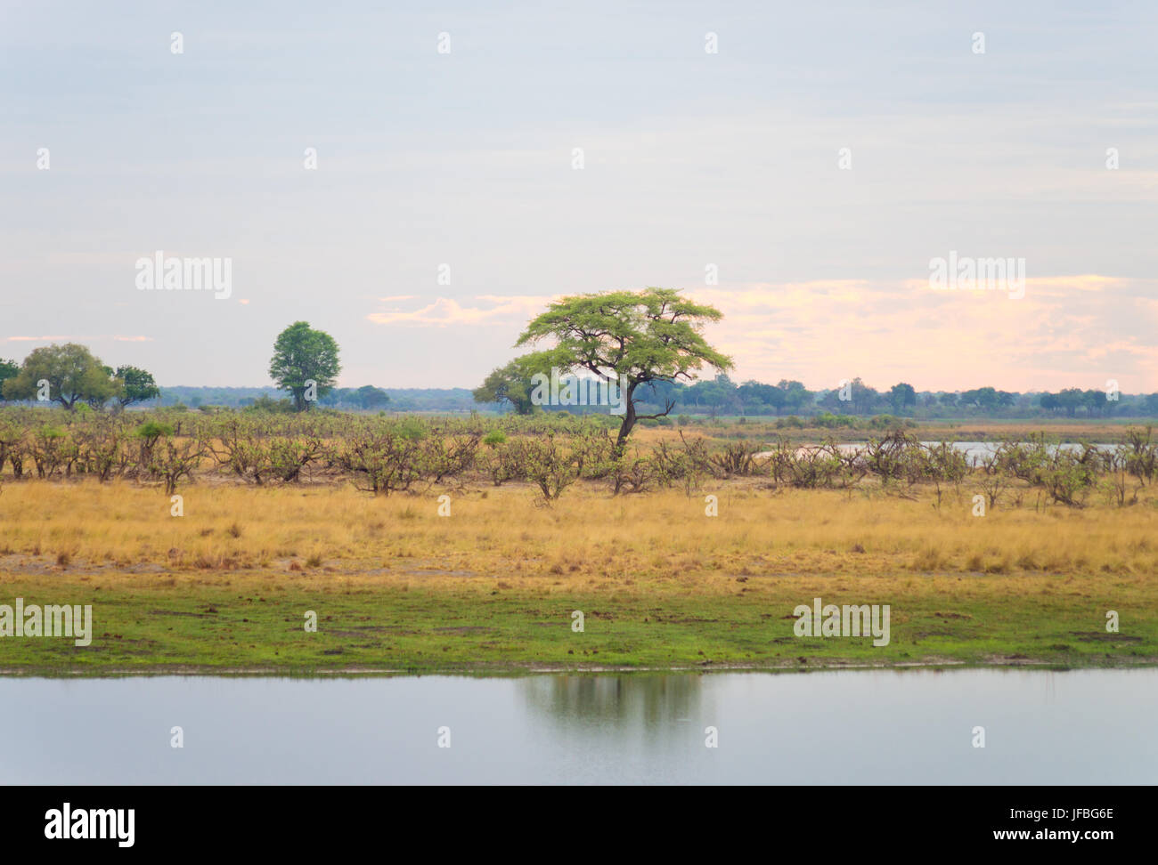 Savannah in the morning hi-res stock photography and images - Alamy