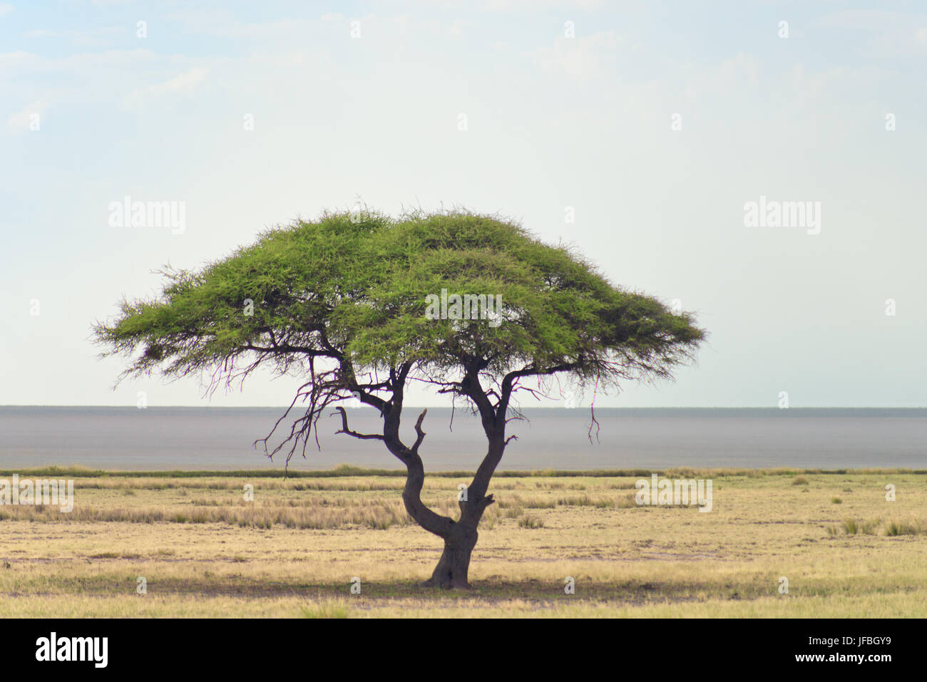 African storm hi-res stock photography and images - Alamy