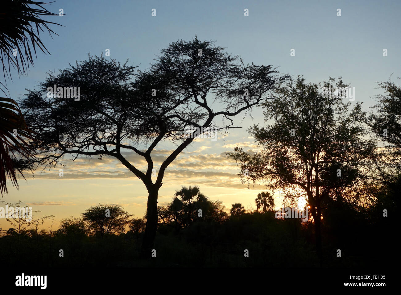 African sunset wallpaper hi-res stock photography and images - Alamy