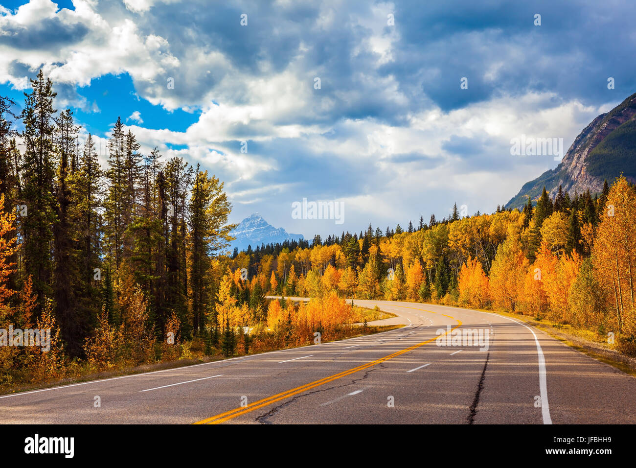 Highway and orange autumn forest Stock Photo - Alamy