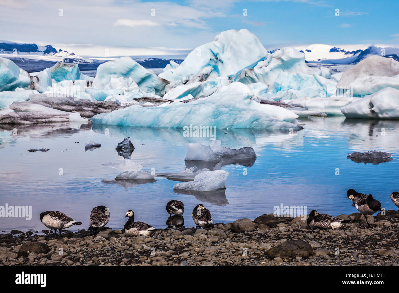 Ice lagoon and flock of birds Stock Photo - Alamy