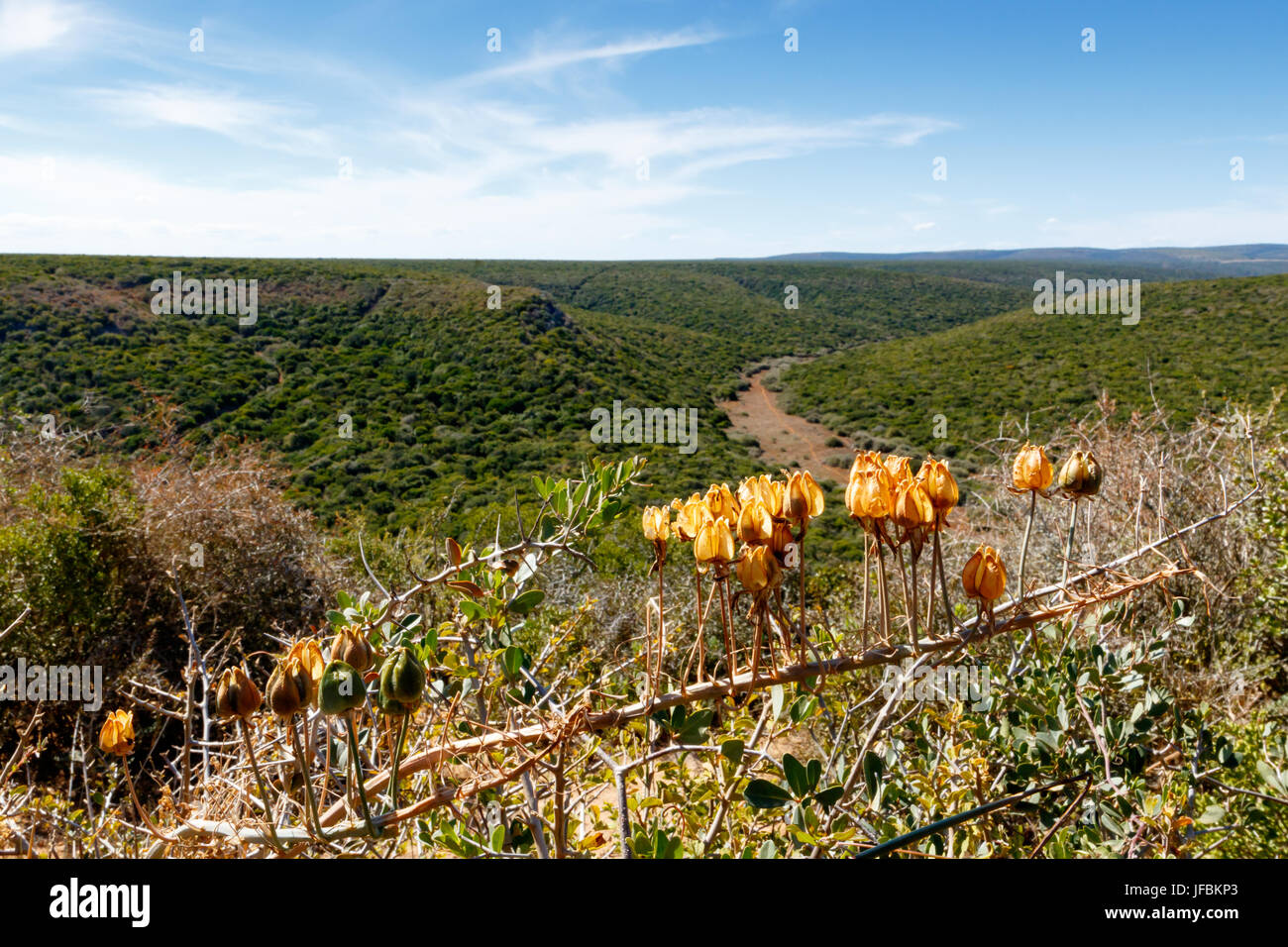 Straight standing hi-res stock photography and images - Alamy
