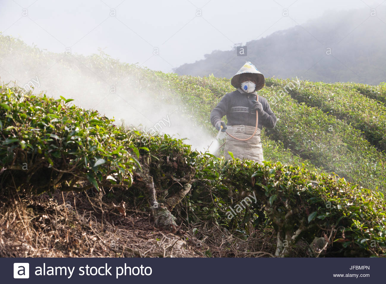 Pesticides Stock Photos & Pesticides Stock Images - Alamy