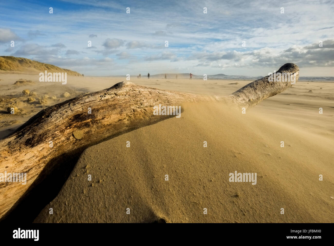 High winds blow sand along Pembrey Country Park beach (Cefn Sidan ...