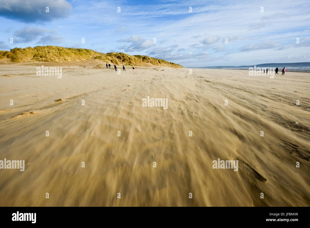 High winds blow sand along Pembrey Country Park beach (Cefn Sidan ...