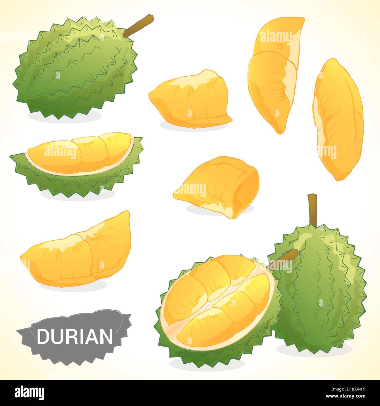 Set of durian in various styles vector format Stock Vector Image & Art ...