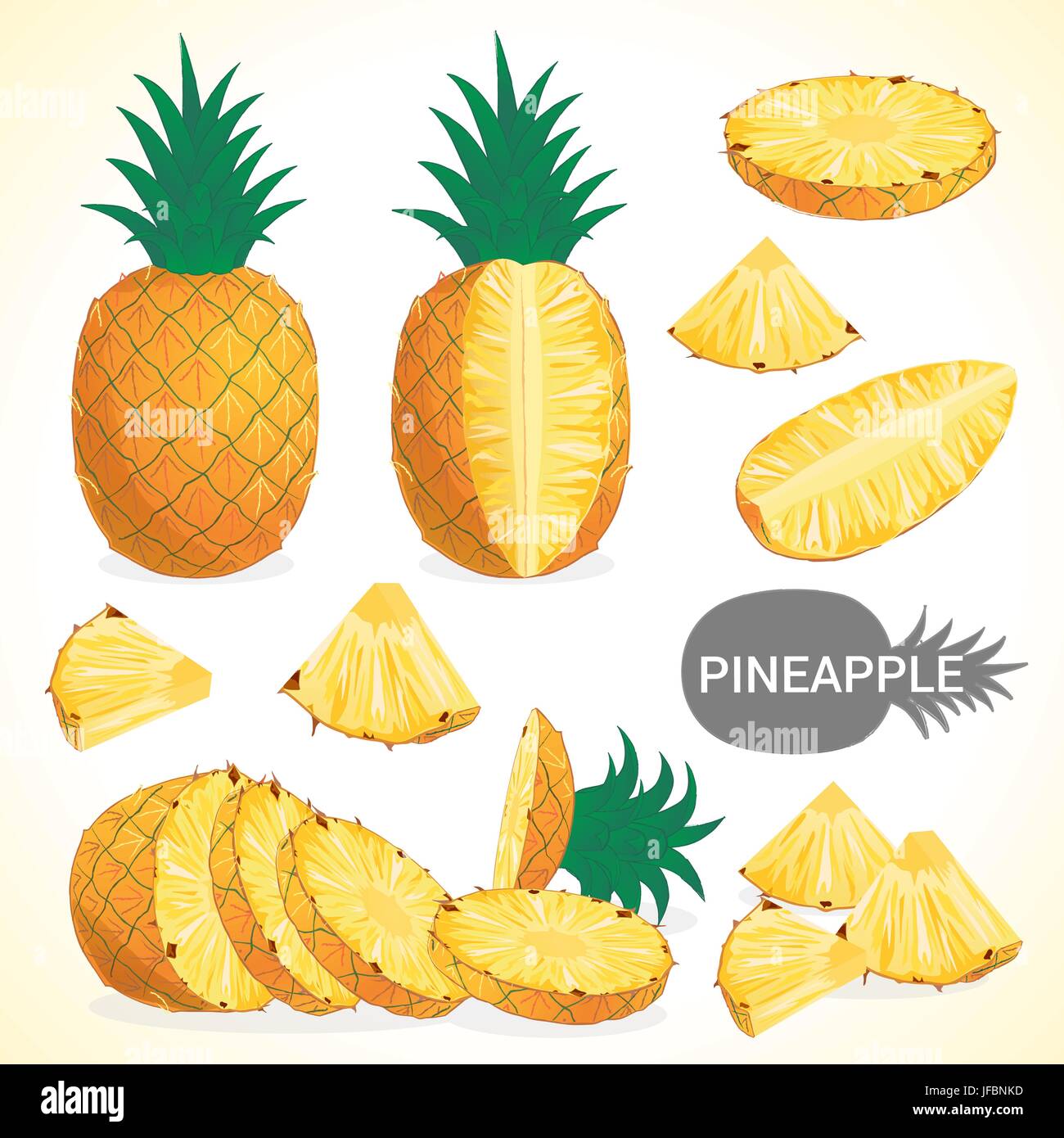 Pineapple Cross Section Labeled