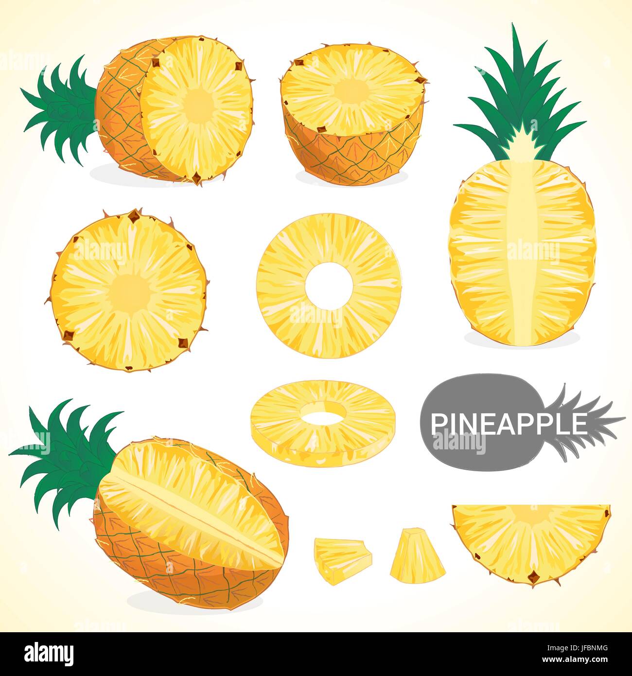 Cross sections vector vectors hi-res stock photography and images - Alamy