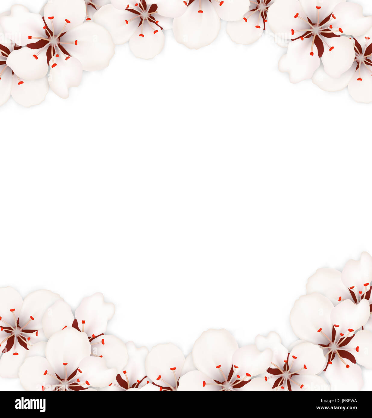 Cherry Blossom Border Design