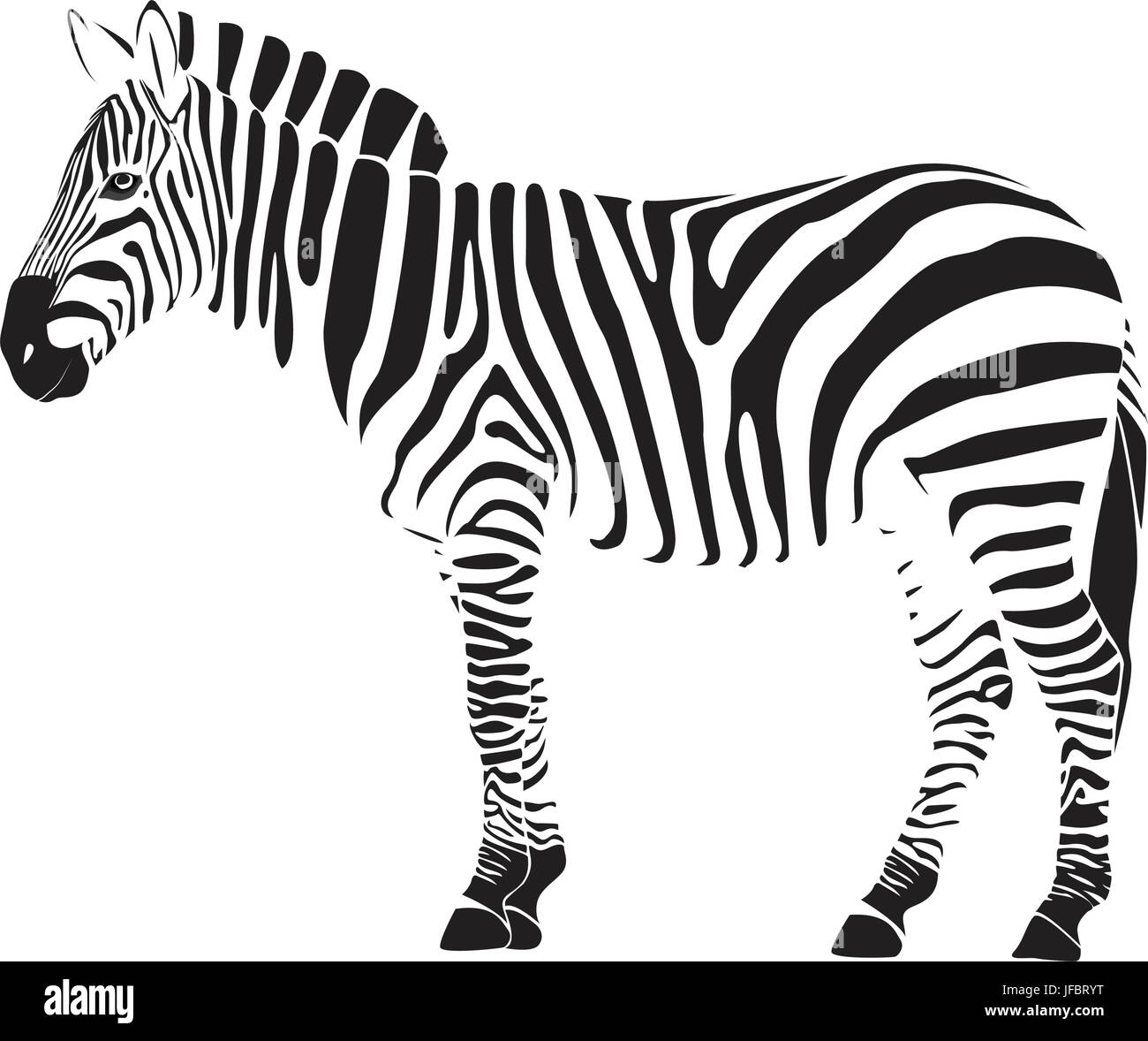 Zebra illustration Black and White Stock Photos & Images - Alamy