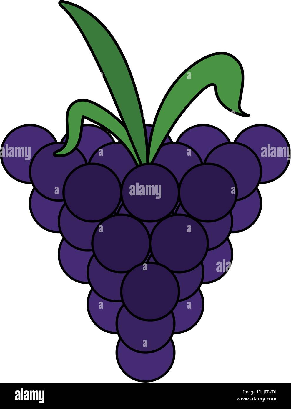 grape vector illustration Stock Vector Image & Art - Alamy