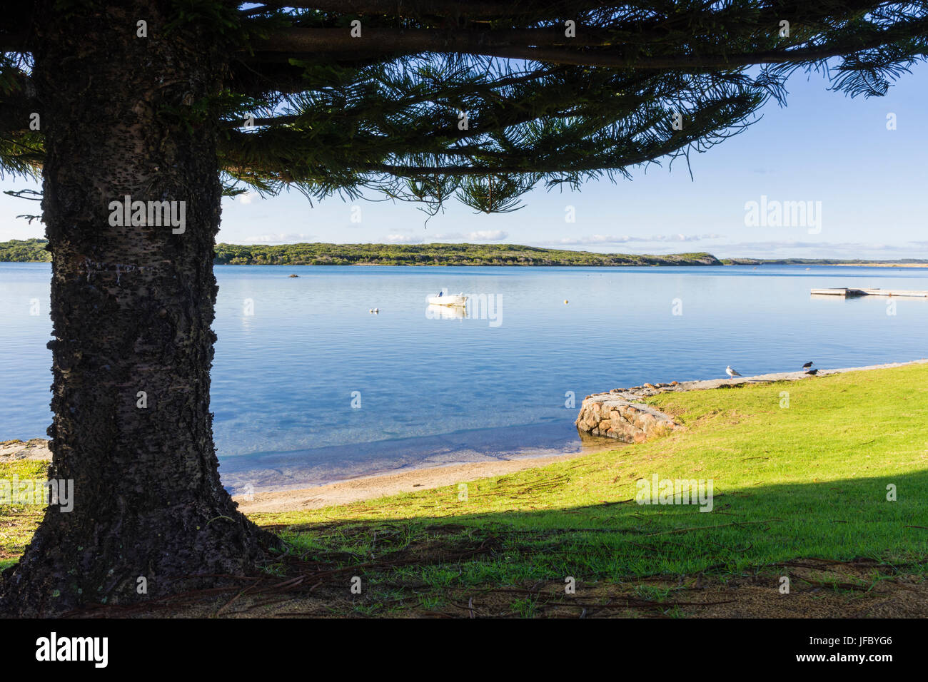 Tree framed foreshore of Seine Bay in the Hardy Inlet near the mouth of ...