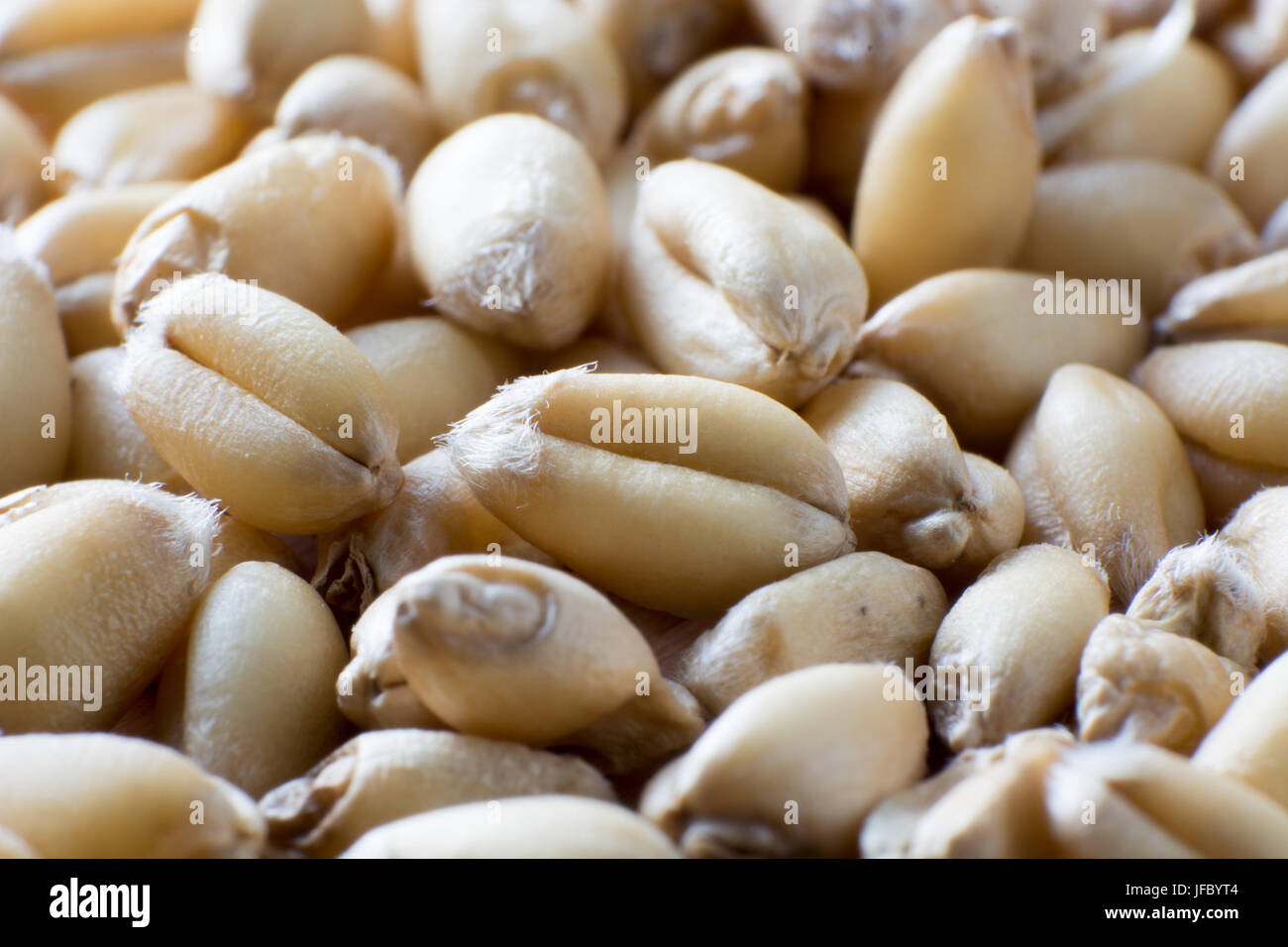 Super grain hi-res stock photography and images - Alamy