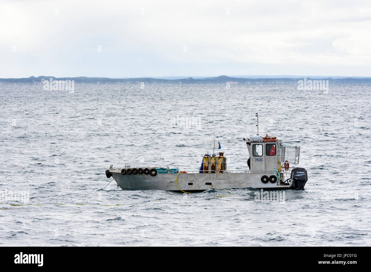 A small dive vessel used in the wild farming of Abalone shellfish in ...