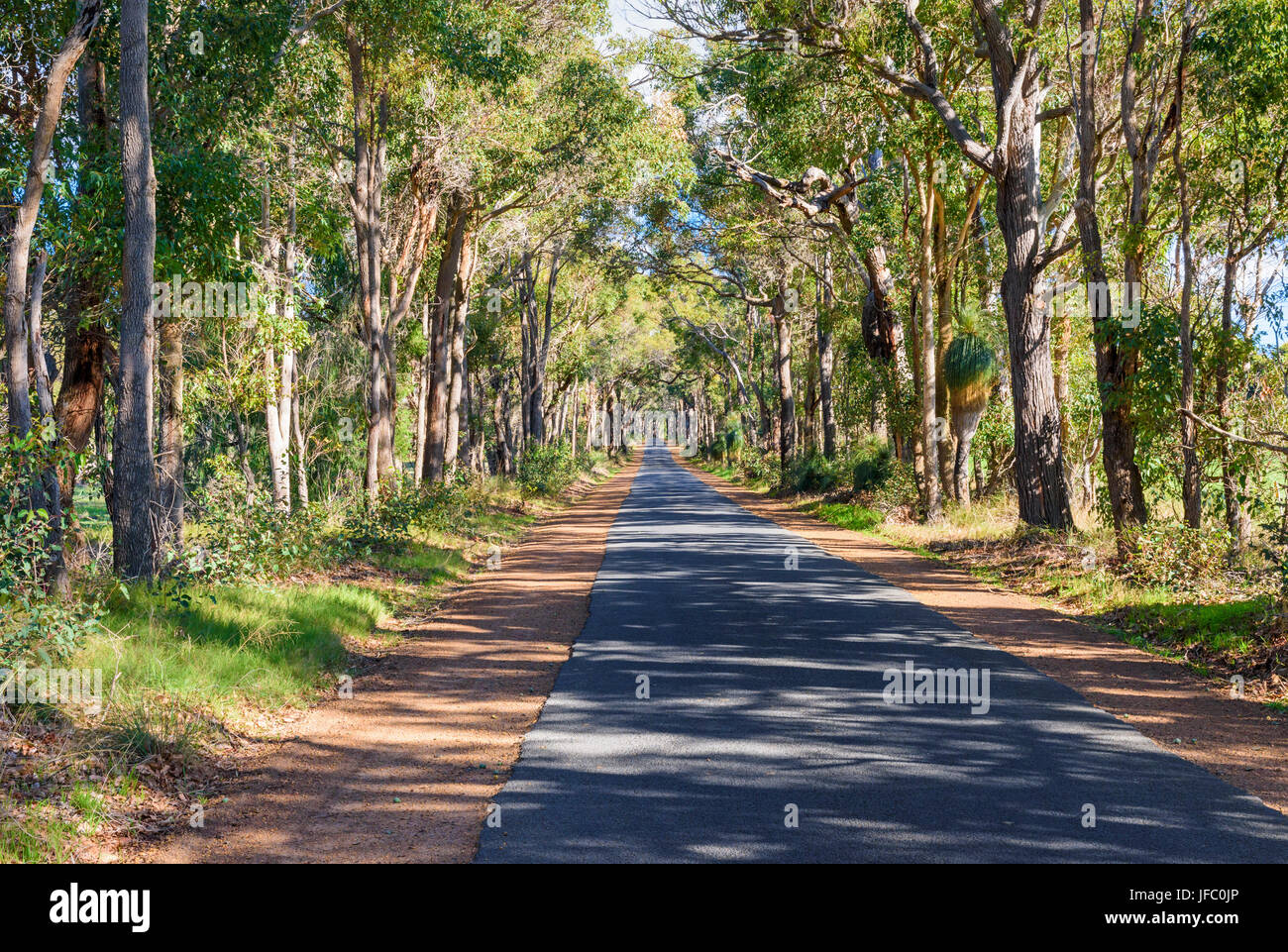 Narrow tree lined road in Yelverton, north of Margaret River in Western ...