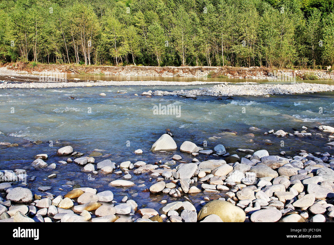 A mountain river with a rapid current and a forest in the summer Stock ...