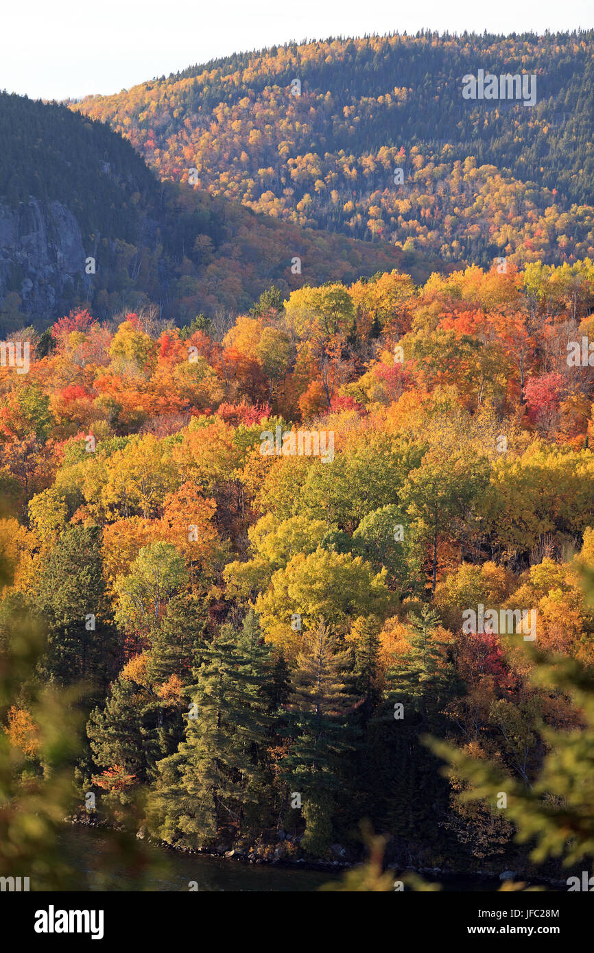 Canadian fall foliage Stock Photo - Alamy