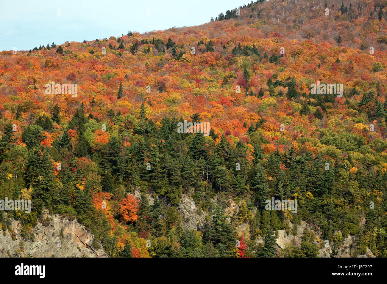 Canadian fall foliage Stock Photo - Alamy
