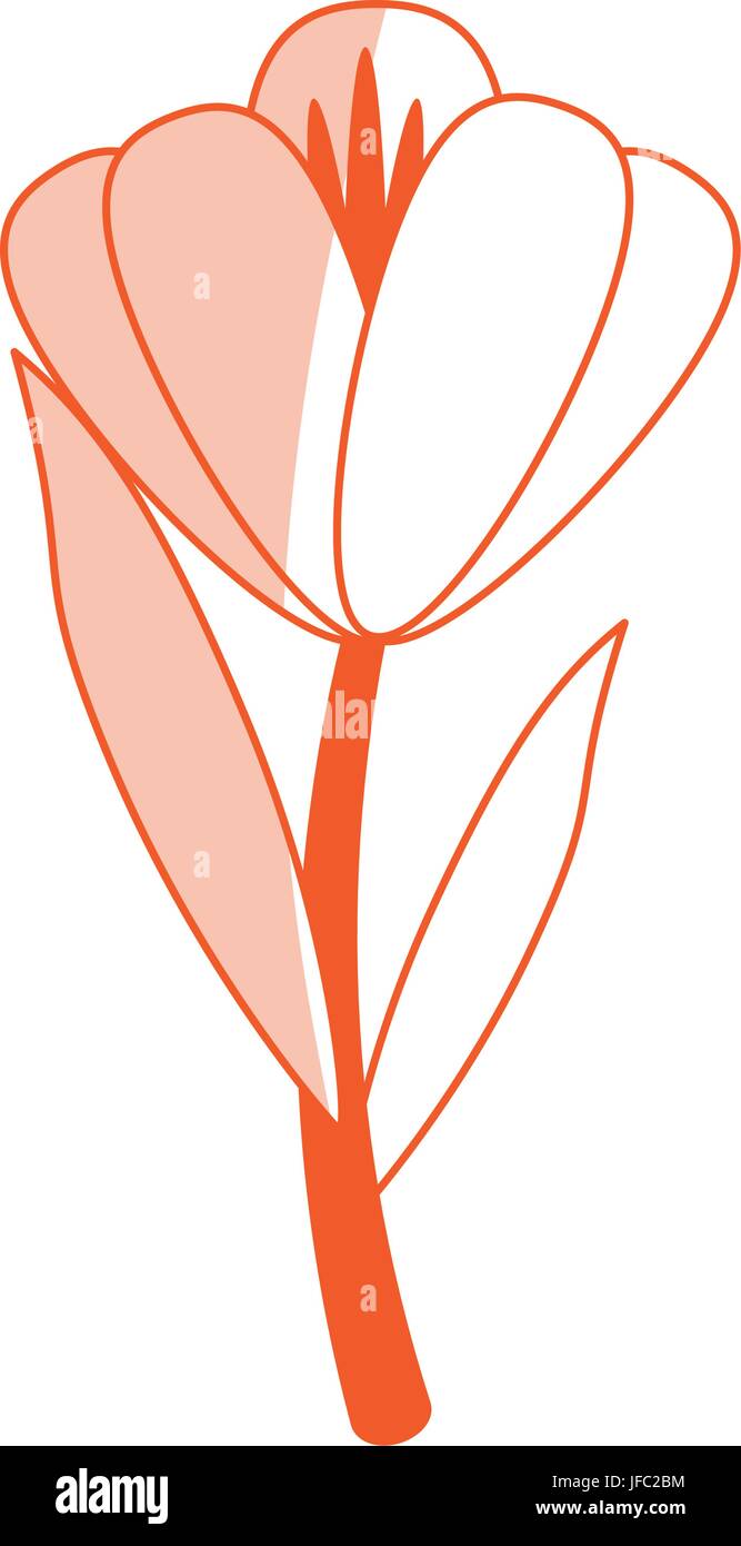 delicate flower icon image Stock Vector Image & Art - Alamy