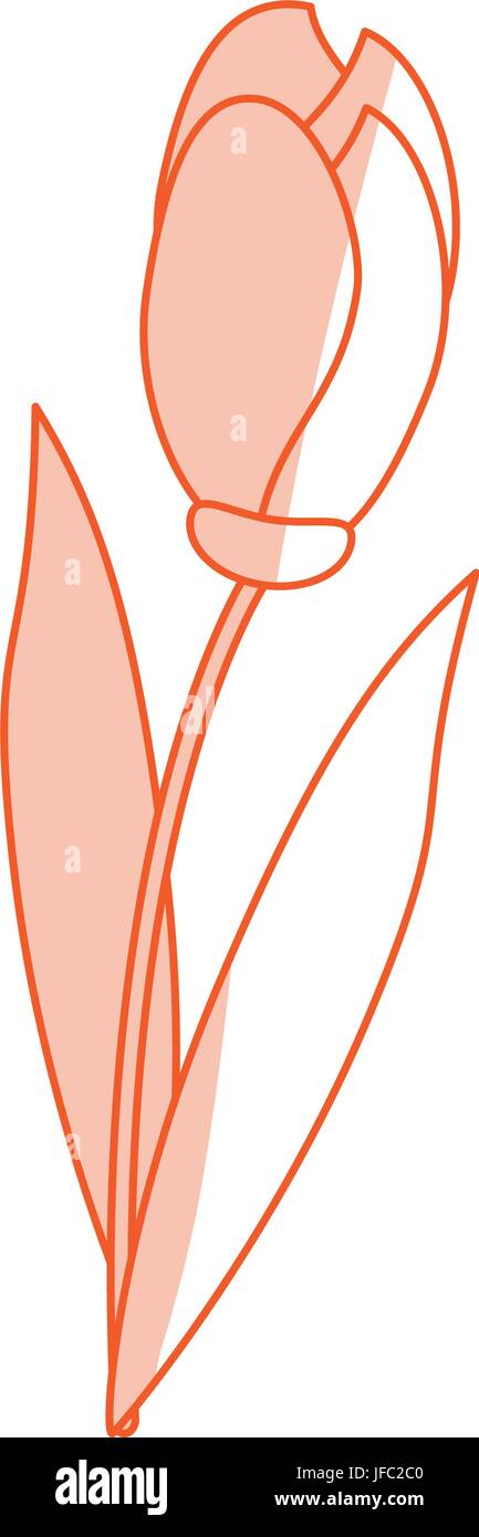 delicate flower icon image Stock Vector Image & Art - Alamy