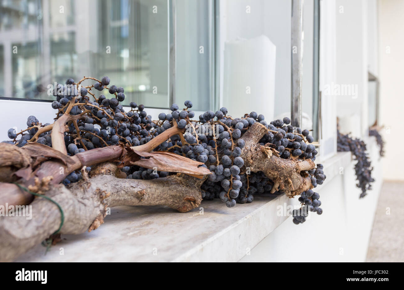 Berry sprigs hi-res stock photography and images - Alamy