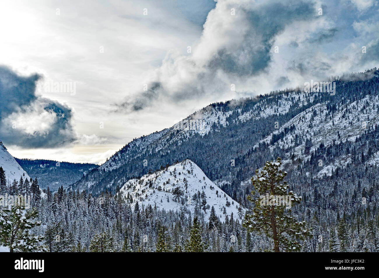 Tree tops covered with snow hi-res stock photography and images - Alamy