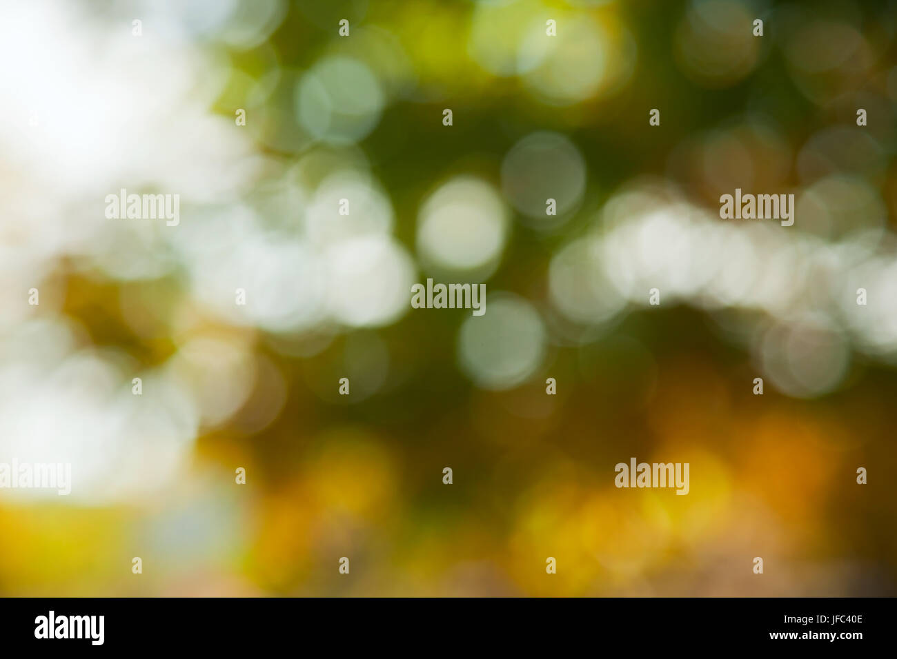 Boke hi-res stock photography and images - Alamy