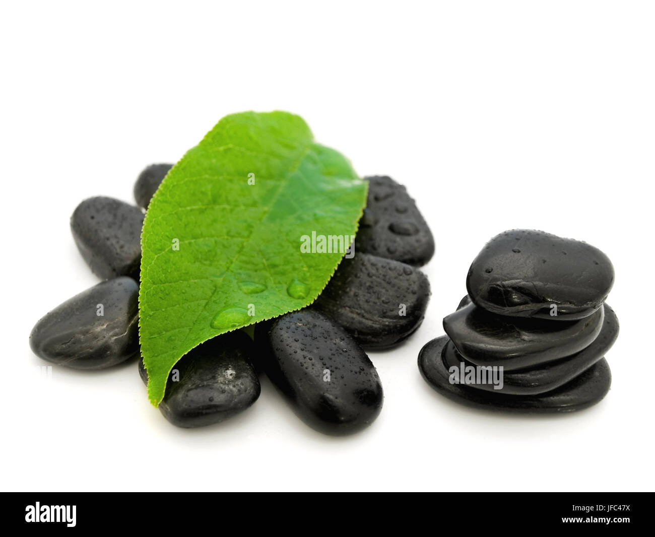Zen leaf Cut Out Stock Images & Pictures - Alamy