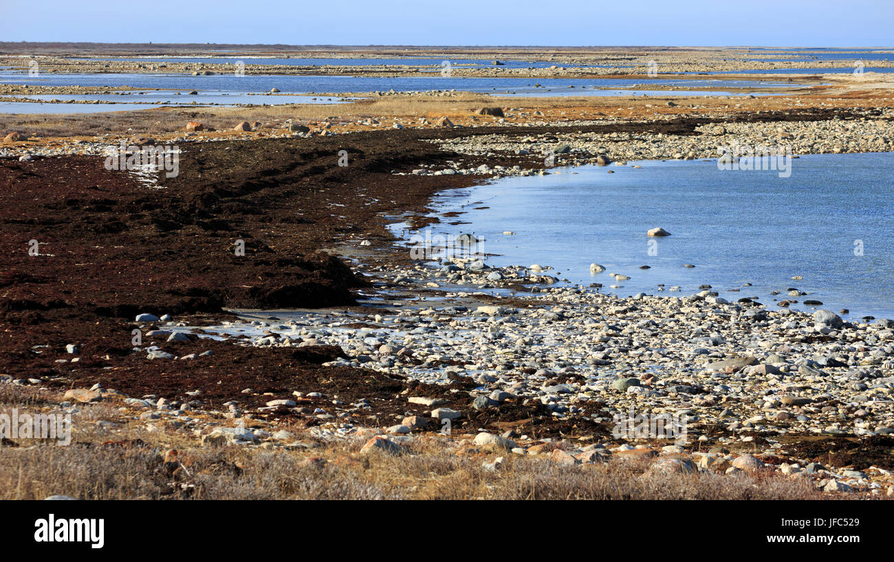 The coast of the Hudson Bay Stock Photo - Alamy