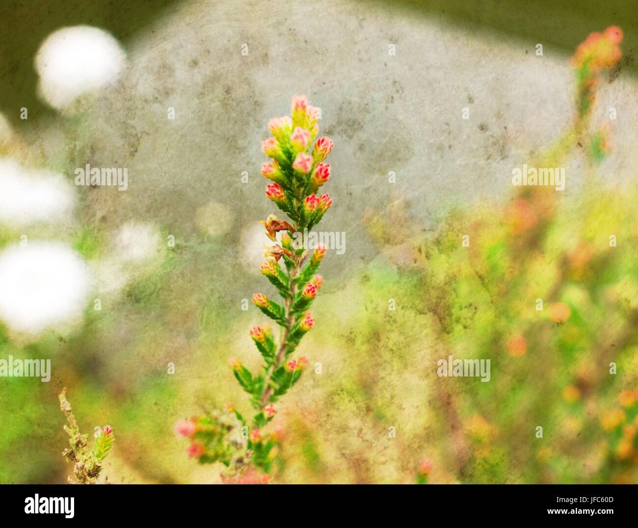 Spring summer themes hi-res stock photography and images - Alamy