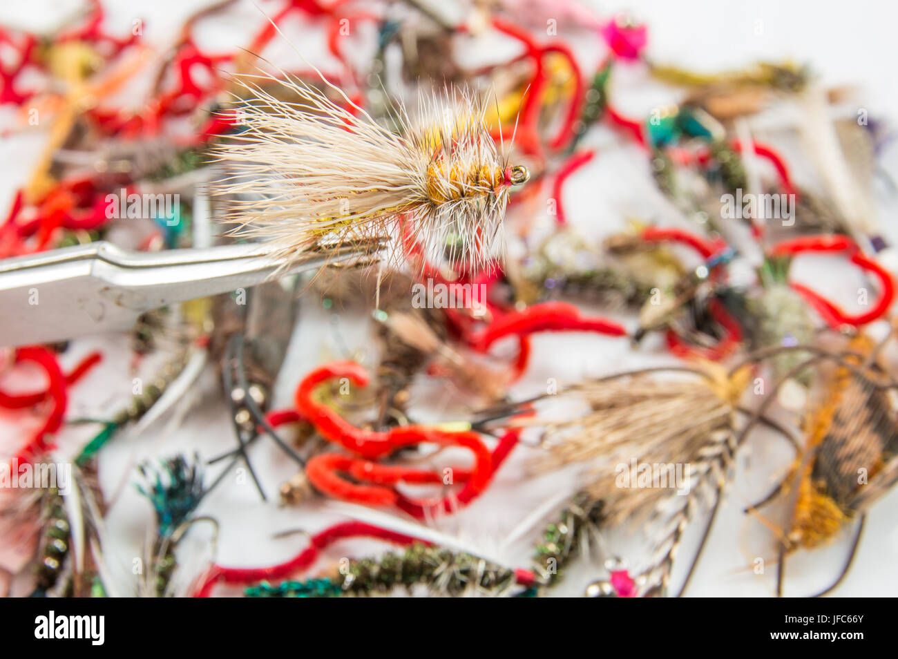 Insects fishing hi-res stock photography and images - Alamy