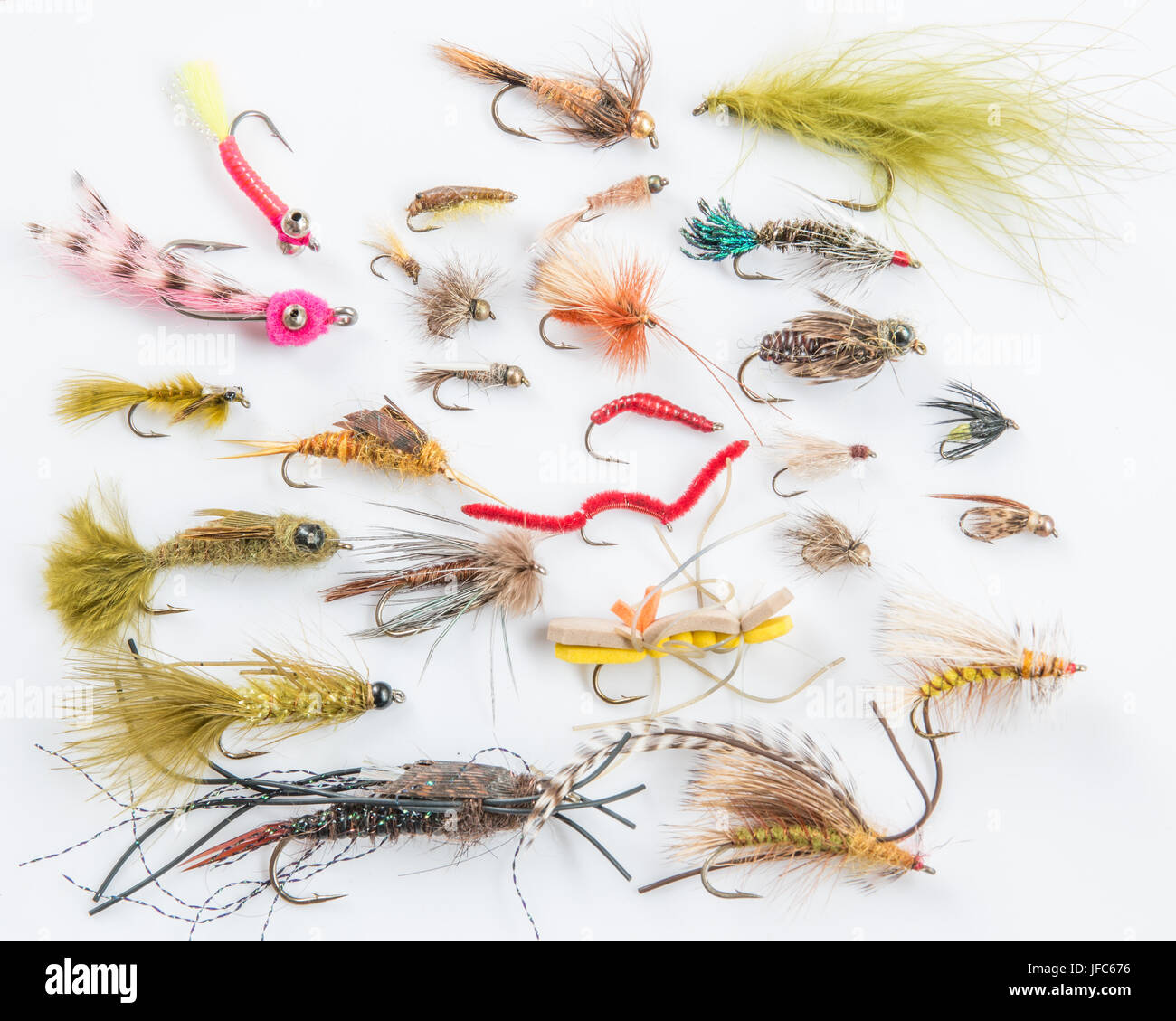 Insects fishing hi-res stock photography and images - Alamy