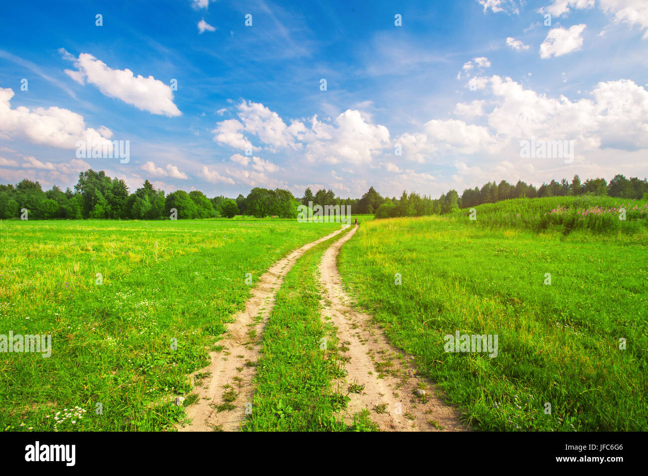 beautiful field and road Stock Photo - Alamy