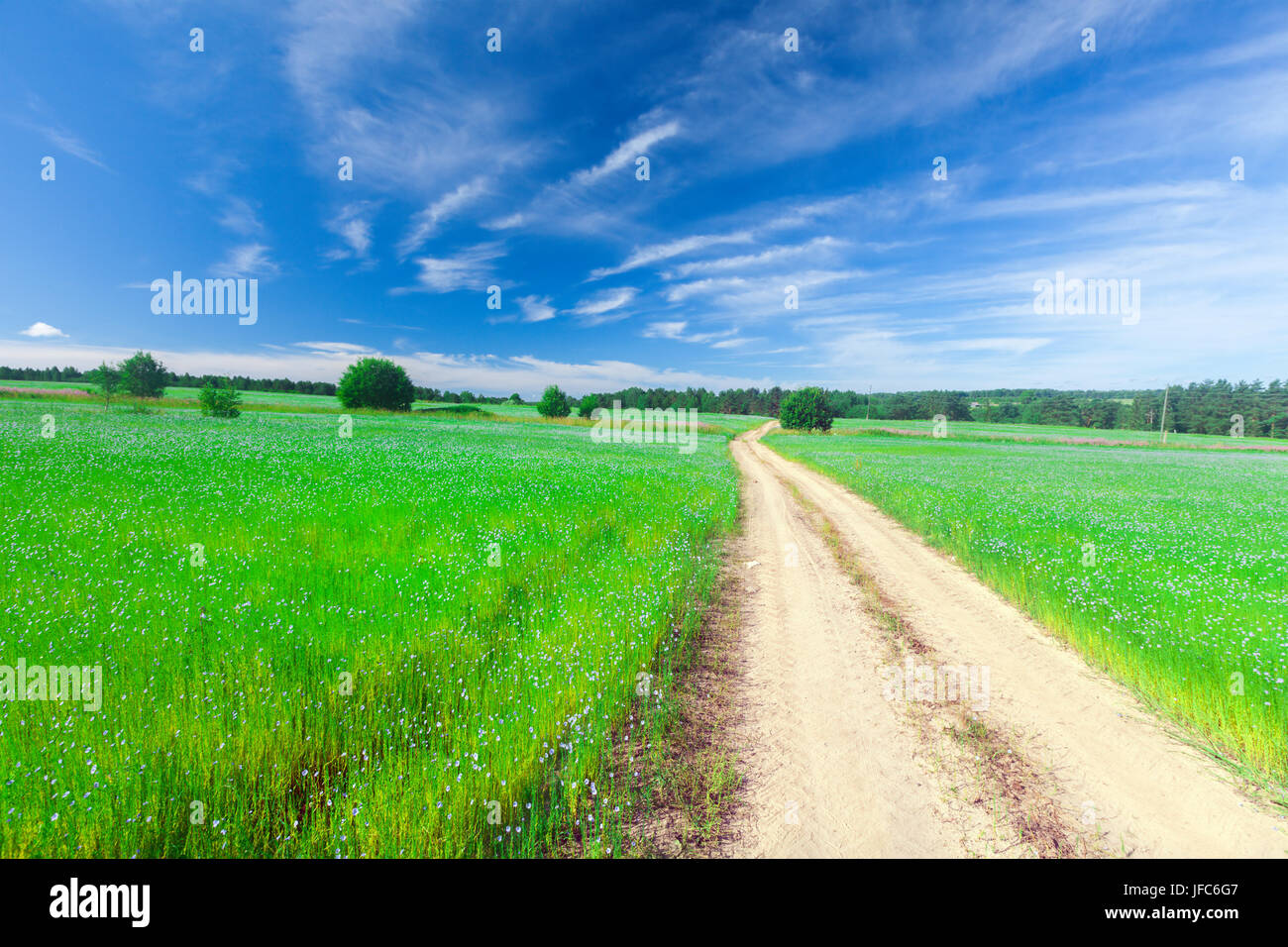 beautiful field and road Stock Photo - Alamy