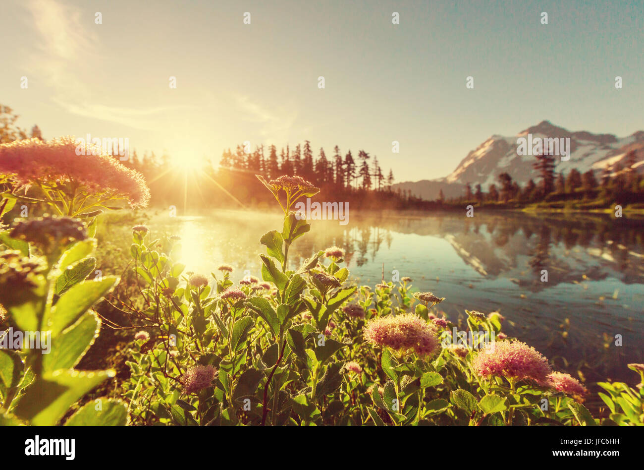 Trees water lake landscape inspire hi-res stock photography and images ...