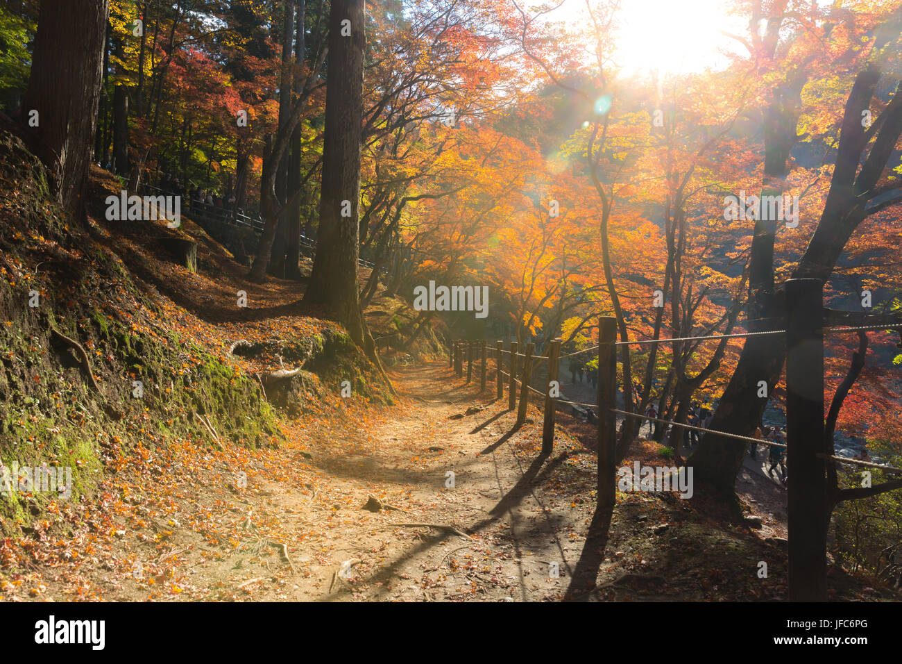 Korankei Forest autumn park Nagoya Stock Photo - Alamy
