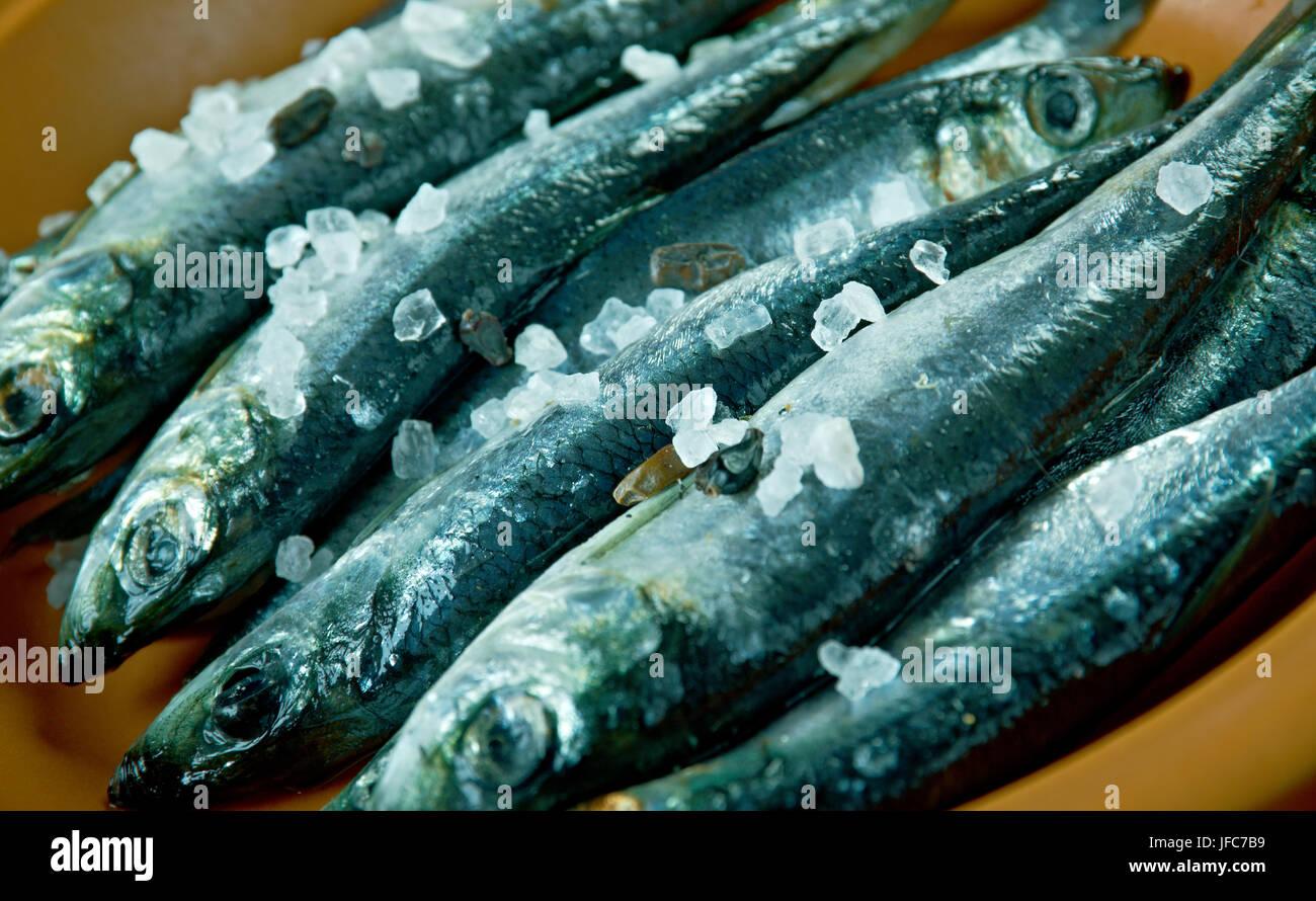 Surstromming baltic herring hi-res stock photography and images - Alamy