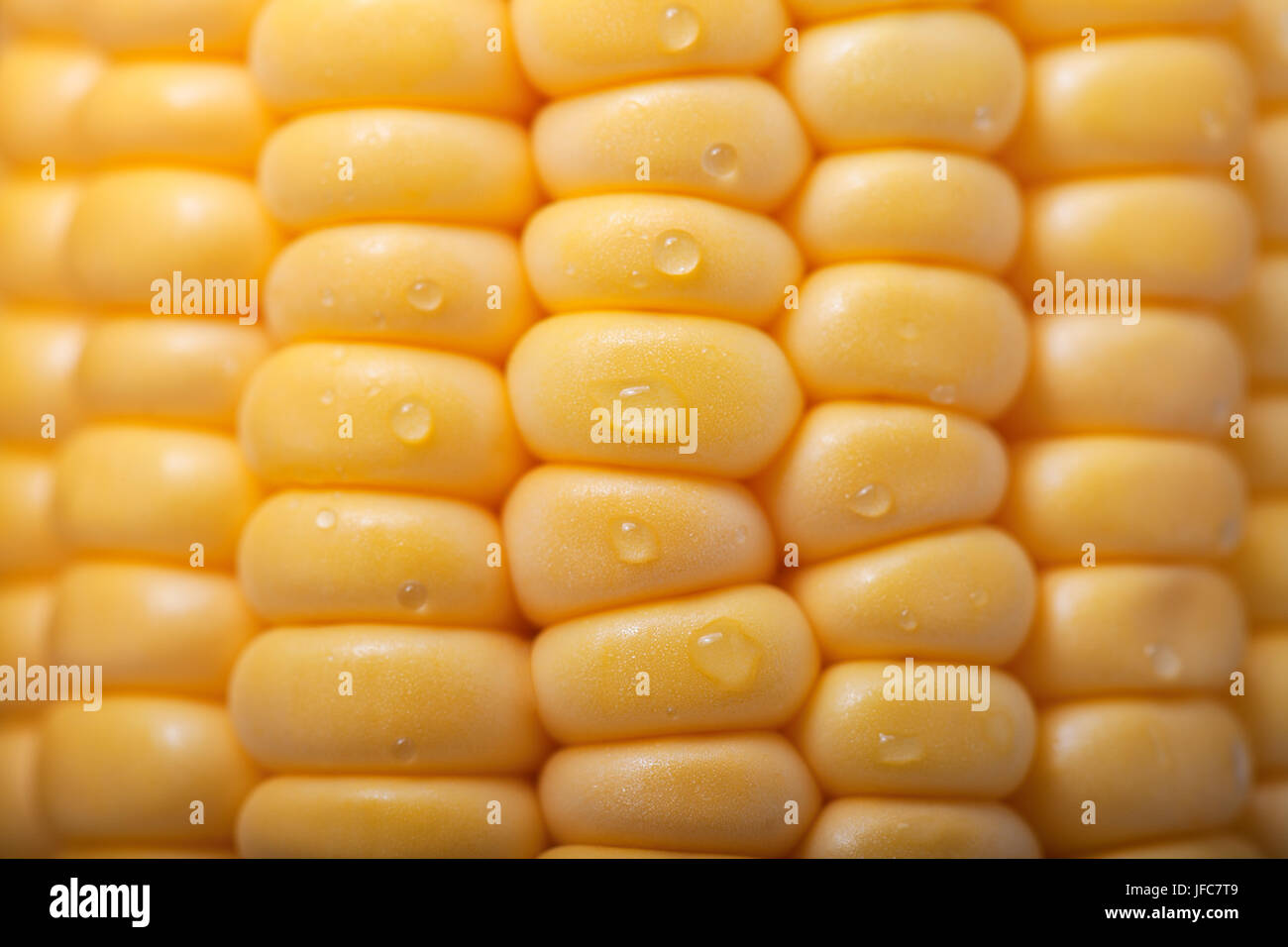 Pattern of fresh sweet corn Stock Photo - Alamy