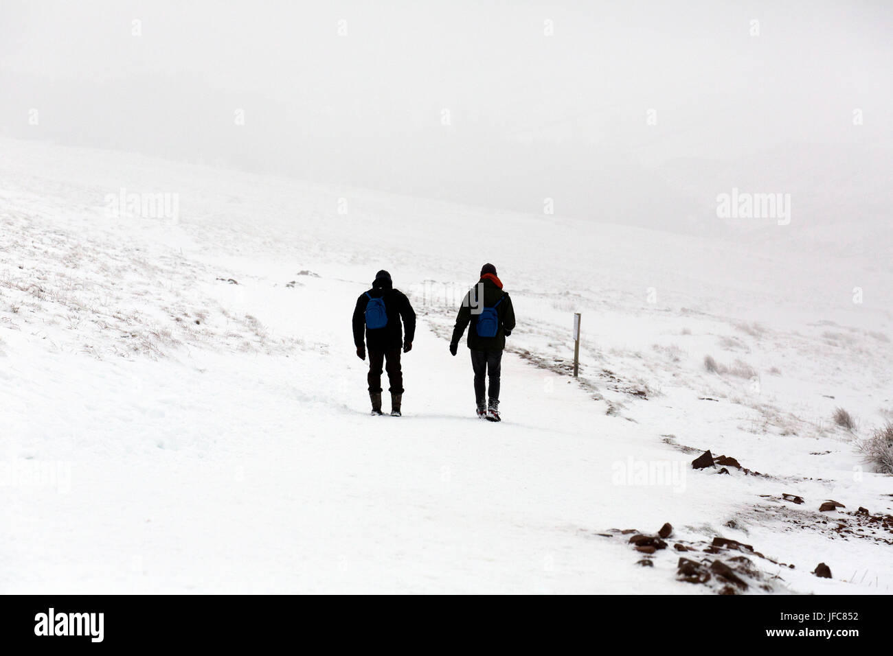 Men in snow hi-res stock photography and images - Alamy