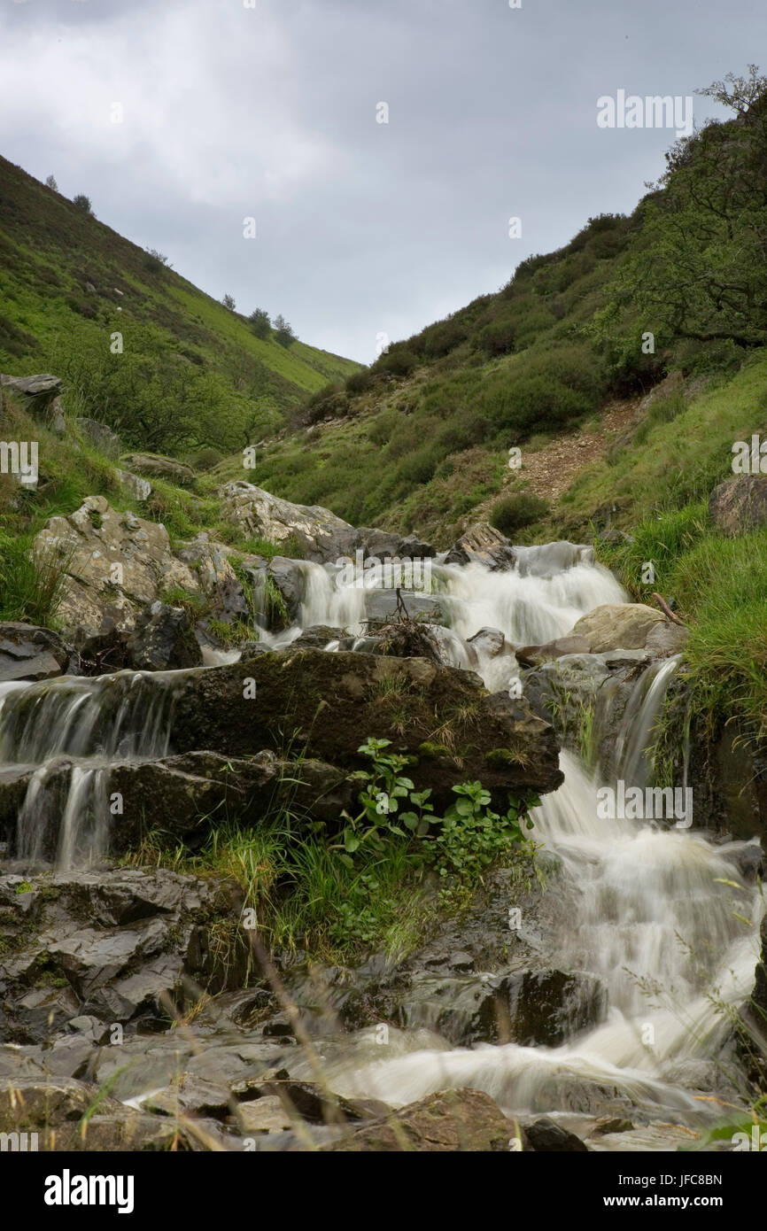 Light Spout Hollow, Carding Mill Valley, Long Mynd, Shropshire, England ...