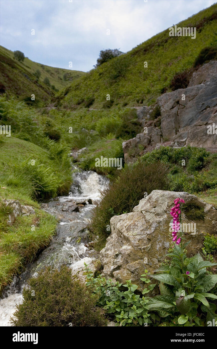 Light Spout Hollow, Carding Mill Valley, Long Mynd, Shropshire, England ...