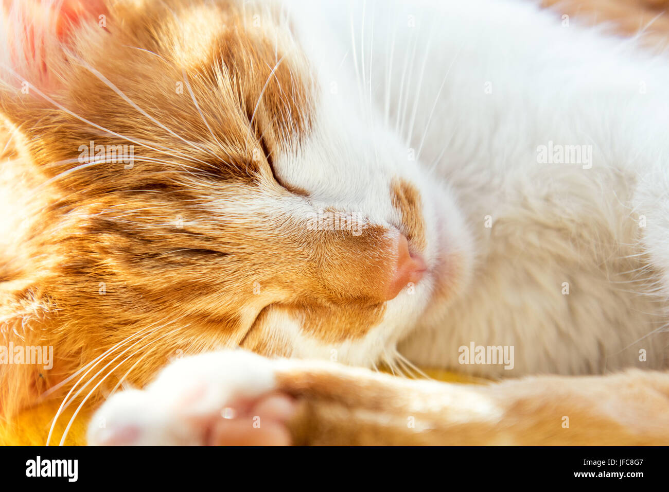 Beautiful morning light on hi-res stock photography and images - Alamy
