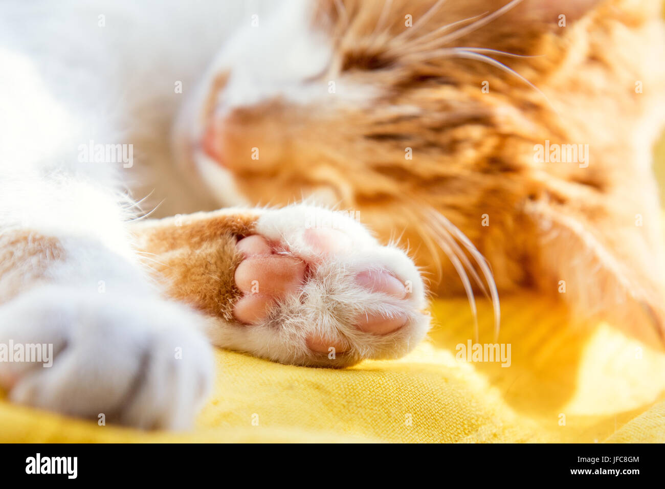 Pretty morning light hi-res stock photography and images - Alamy