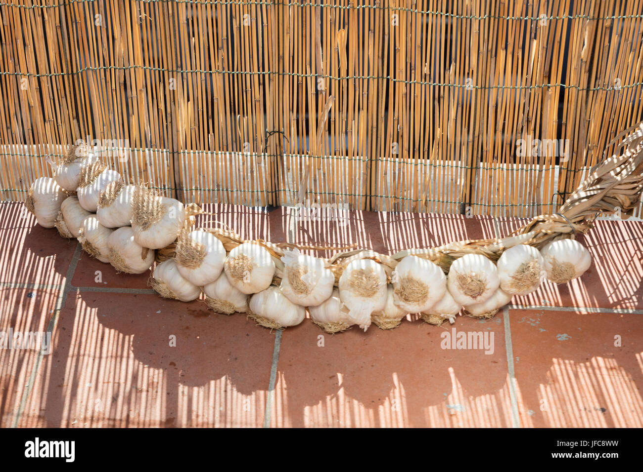 A garlic braid Stock Photo - Alamy