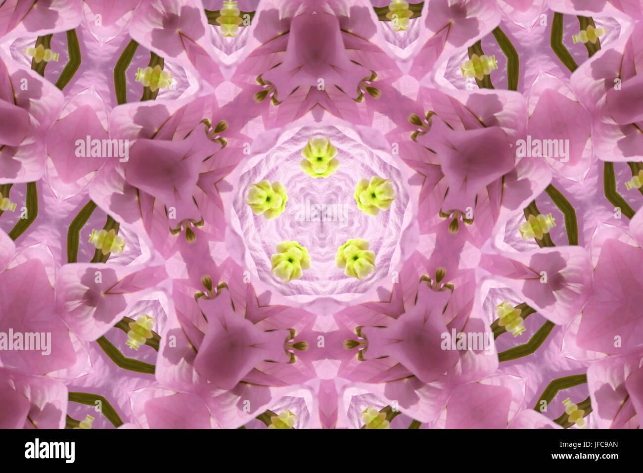 Abstract background with natural flowers Stock Photo - Alamy