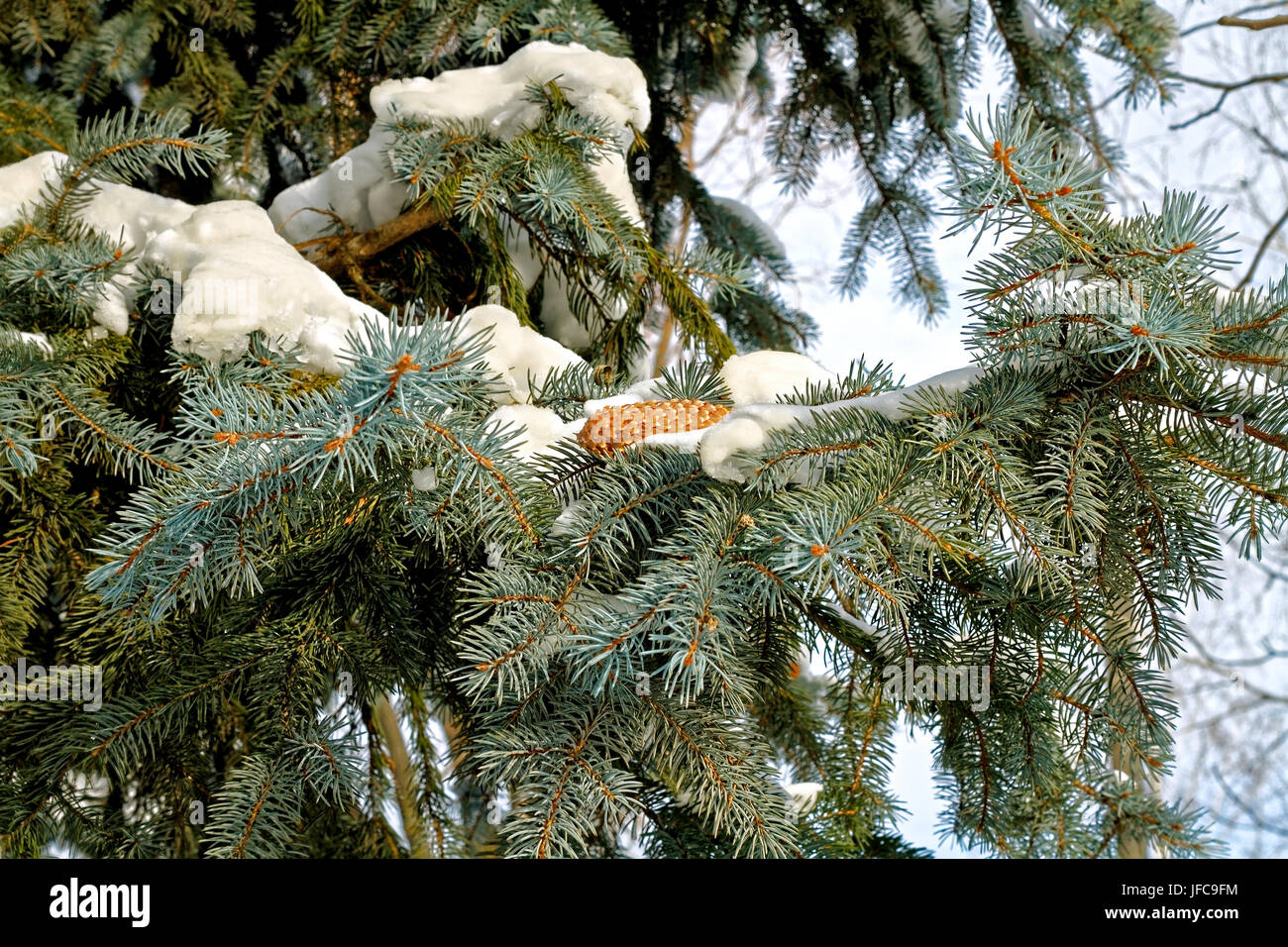 Blue snow cone hi-res stock photography and images - Alamy