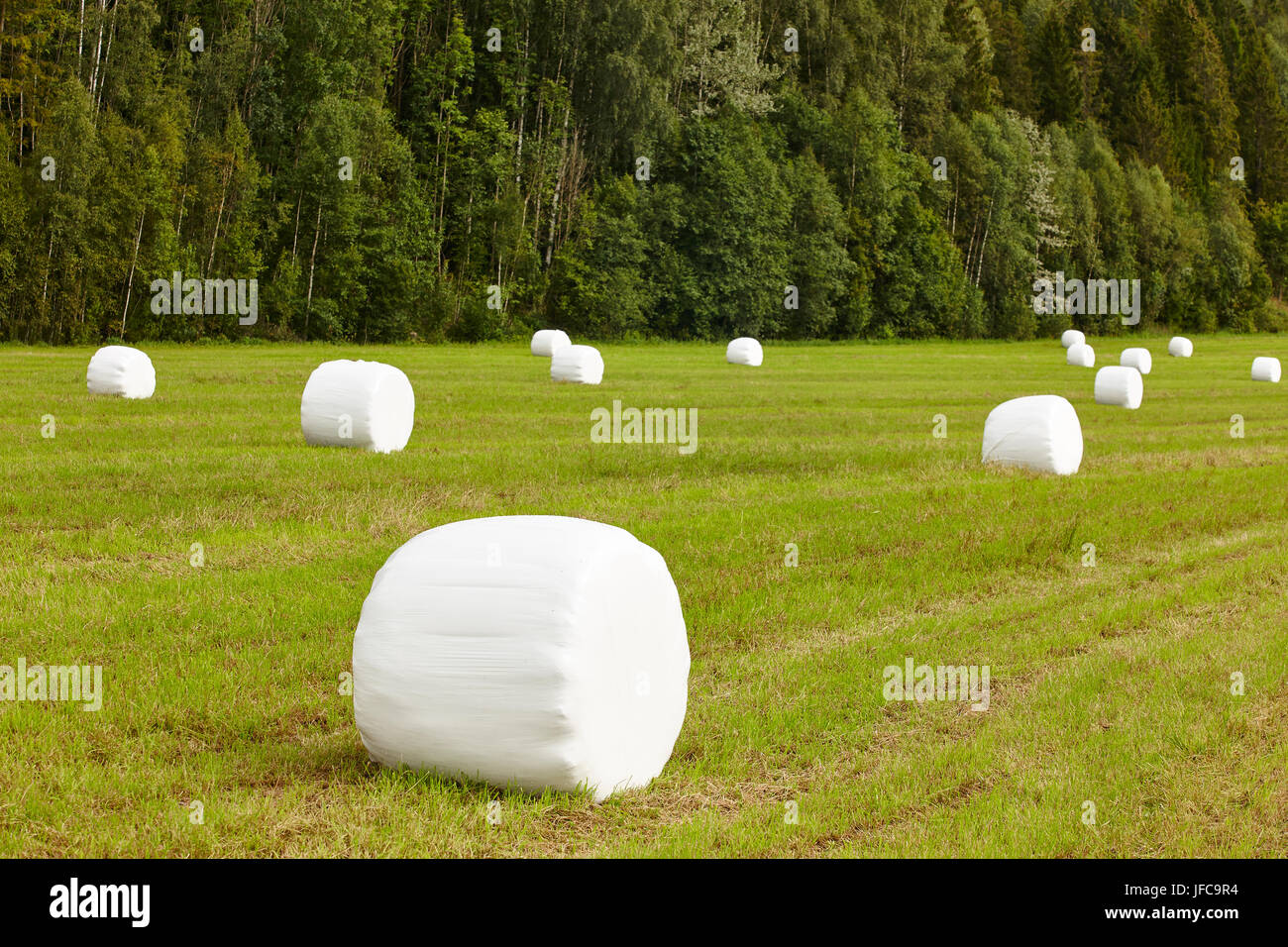 Packed fresh grass in the countryside. Norwegian landscape. Agriculture ...