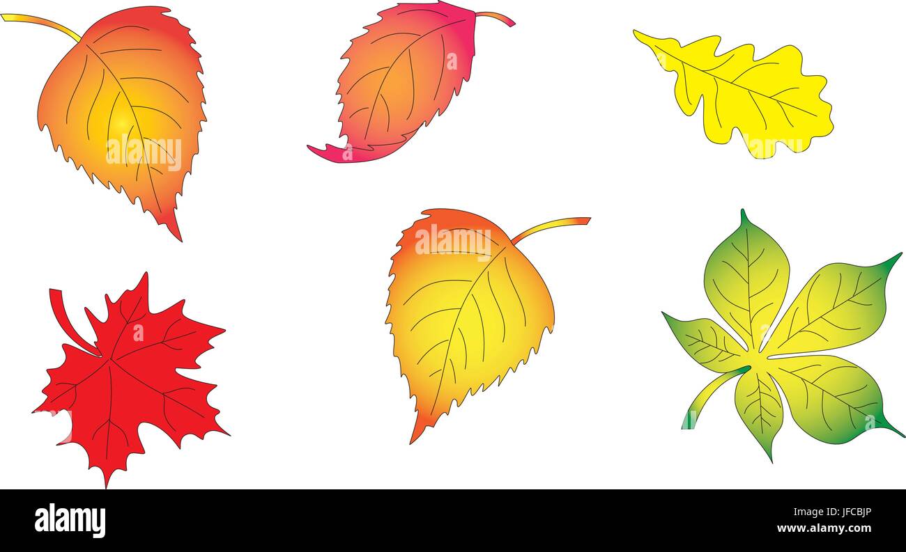 Leaf fall leaves from Stock Vector Images - Alamy