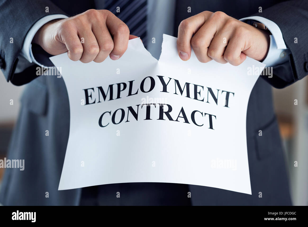 Close up of businessman hands breaking employment contract. Boss ...