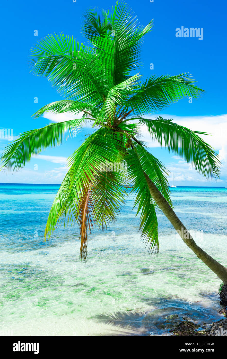 Sky water sun tree hi-res stock photography and images - Alamy